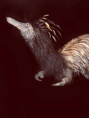 Найдены останки динозавра с одним когтем на лапах