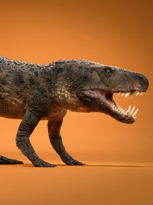 В Бразилии обнаружили останки неизвестных ранее рептилий